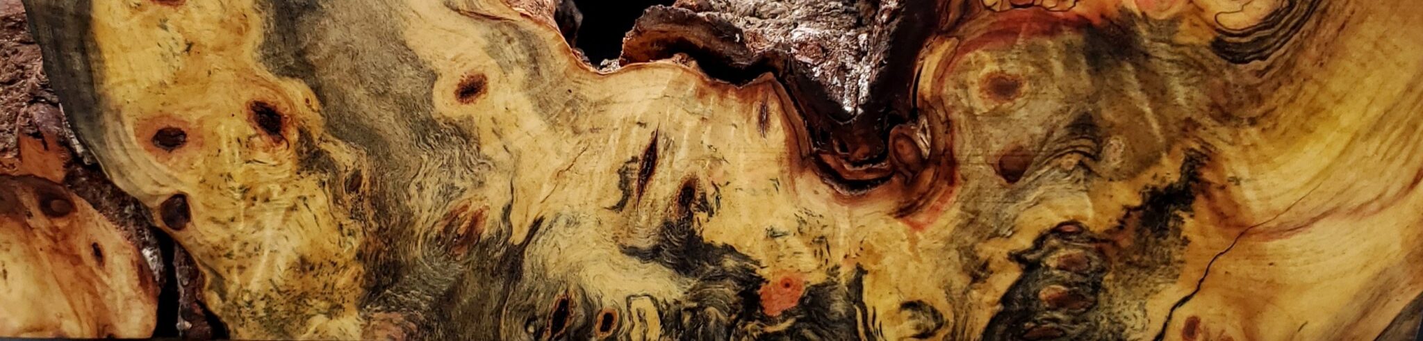 Domestic, Exotic & Burl Wood Types – Dovetail Woodwork